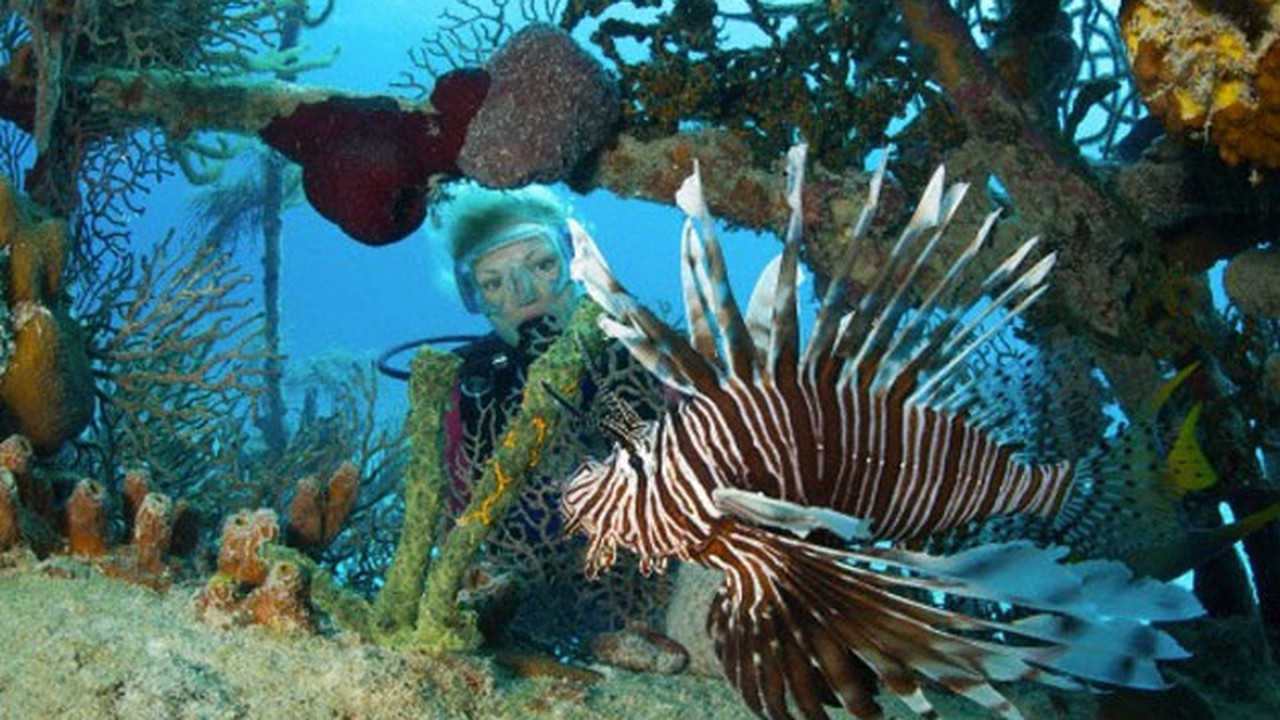 ¿Cuáles son las playas más atractivas para los amantes del buceo?