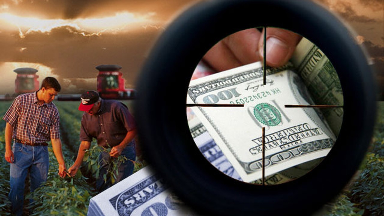 El precio de la soja retrocedió a su nivel más bajo en 10 meses y ya ...