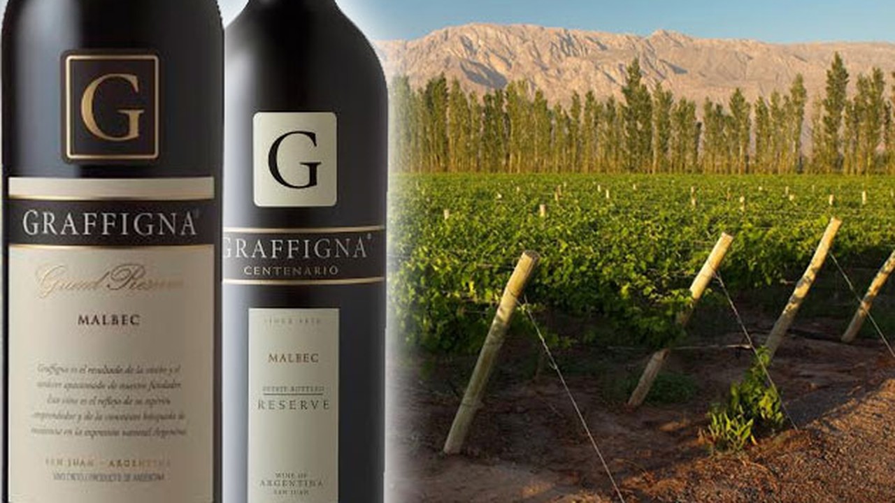 Bodega Graffigna: sí­ntesis de historia e innovación en el mundo del vino