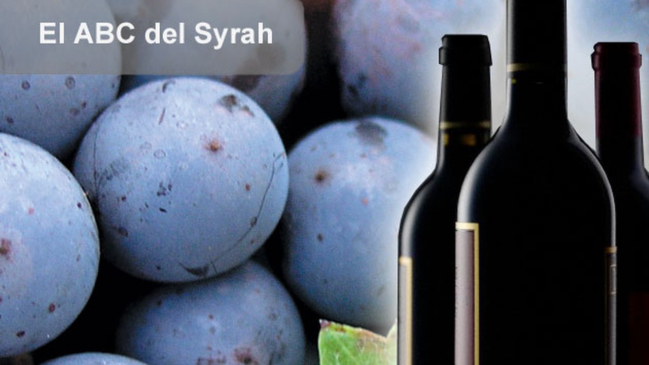 El ABC del Syrah: 10 claves para conocer mejor las cualidades de esta ...