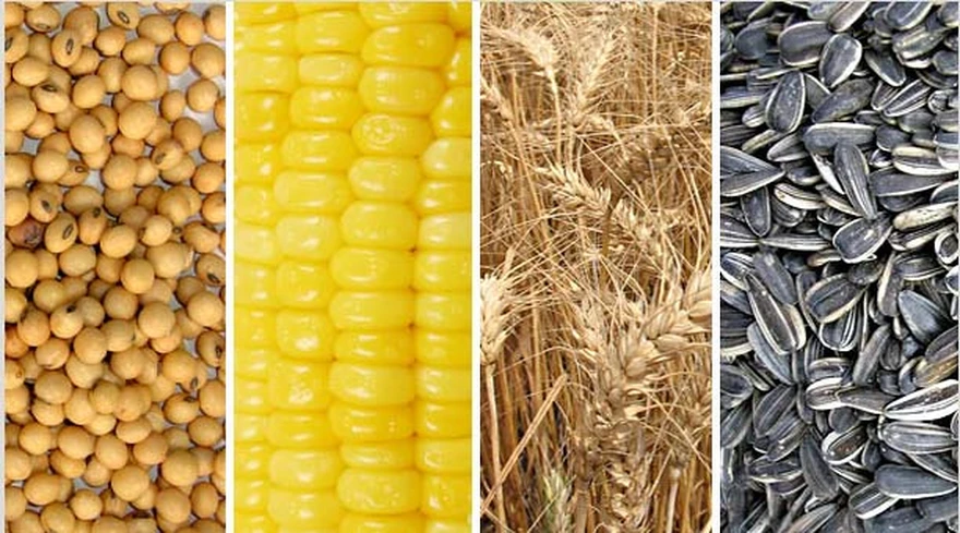 Pronostican una caí­da en precios internacionales de los granos