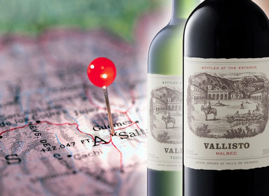 Tres enólogos, dos cepas y un terroir: el eje de Vallisto, un nuevo ...