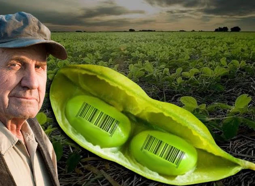 Patria transgénica: gracias a biotecnologí­a inédita y 100% hecha en ...