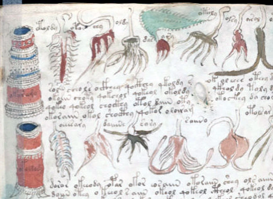 La inteligencia artificial descifra el Códice Voynich, el libro más ...