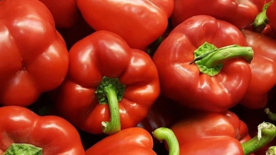 El MORRÓN le gana hasta al dólar: por qué ya cuesta casi $ 800