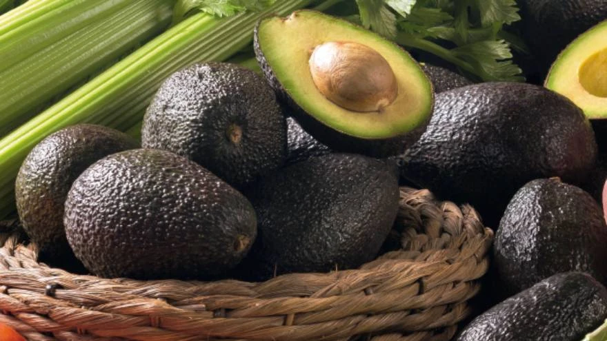 Historia de la palta: dónde surgió y por qué cambió de color