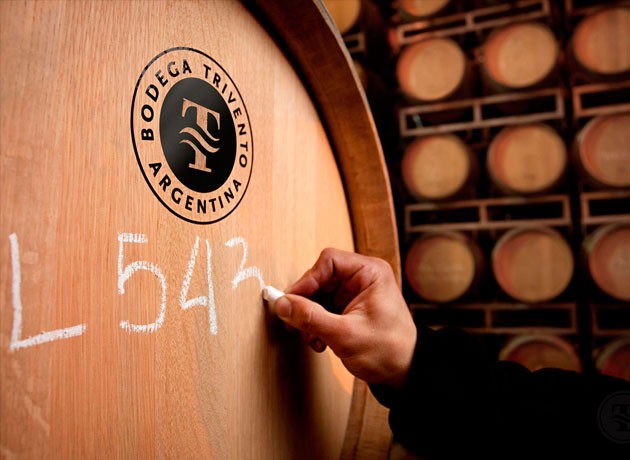 La Bodega Trivento anuncia una inversión de $75 millones en más viñedos ...