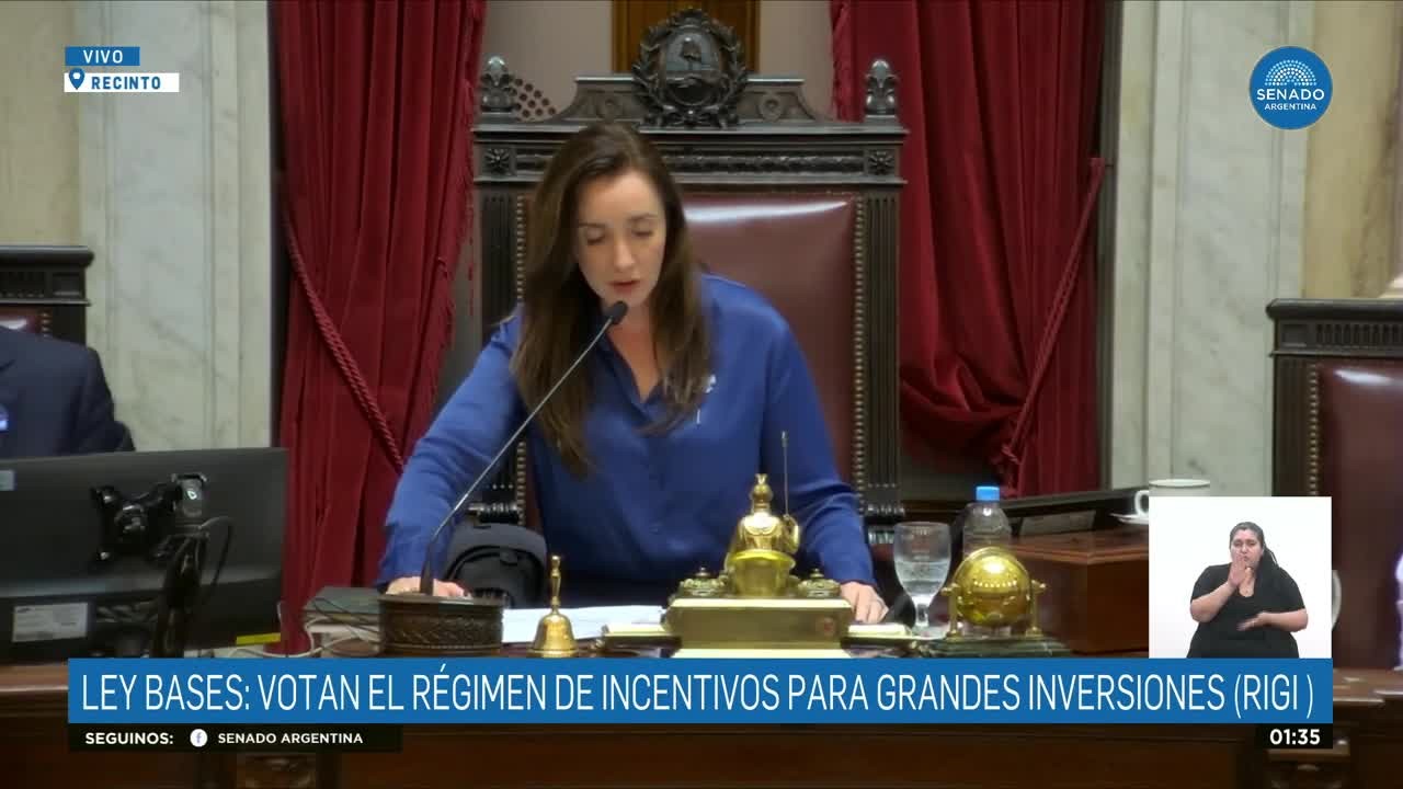 Qué es el RIGI en la Ley de Bases Qué es el RIGI en la Ley de Bases