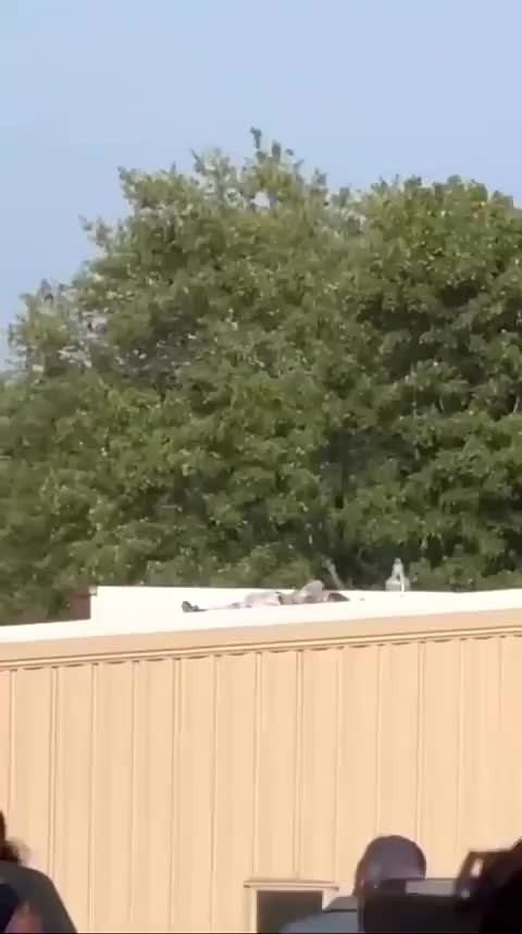 El tirador que quiso asesinar a Donald Trump fue abatido por fuerzas de ...